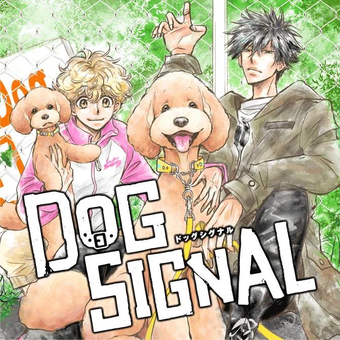 Dog signal anime | Mundo Anime