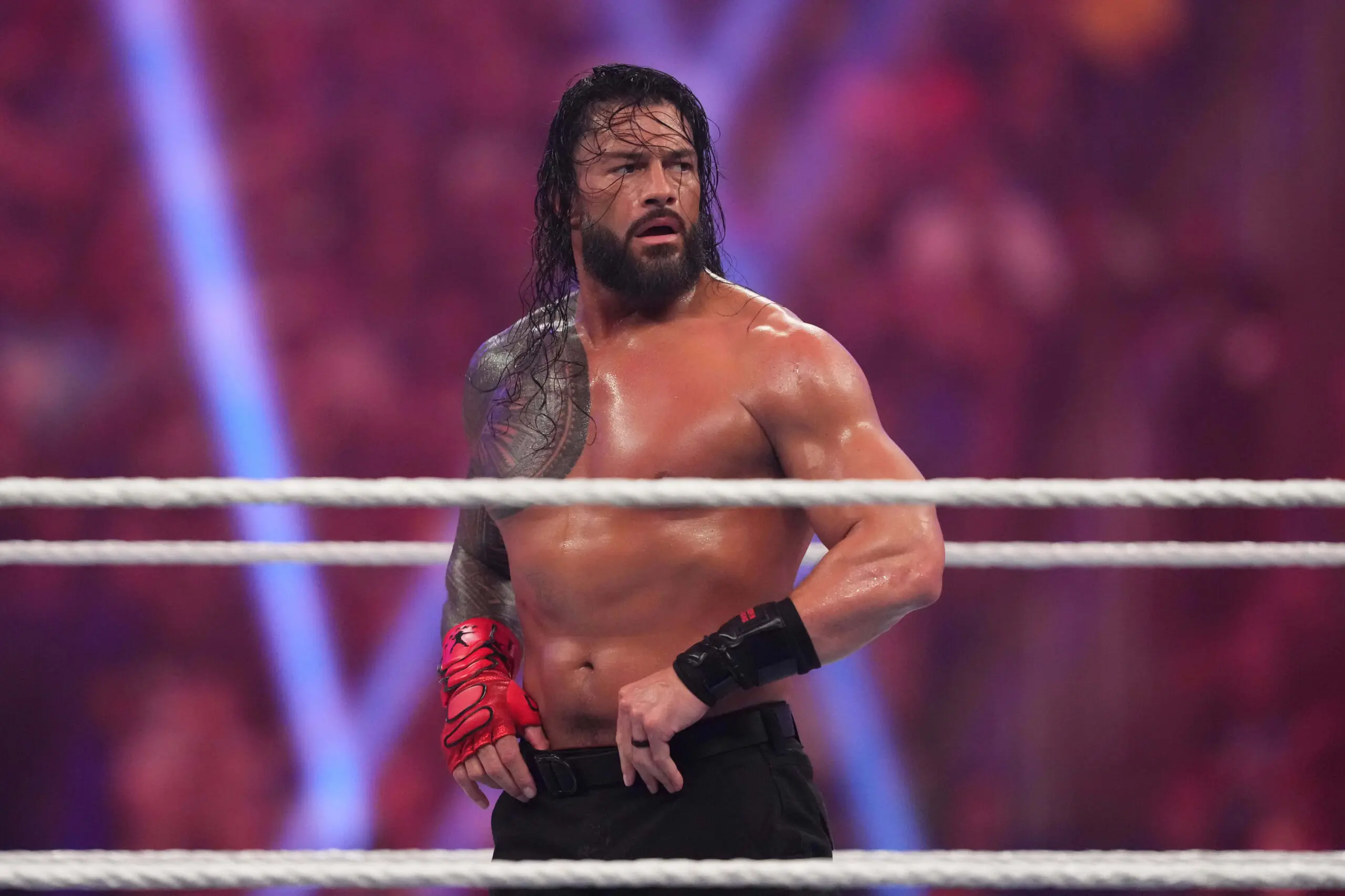 Roman reigns anime: investigando la fusión entre lucha libre y ...
